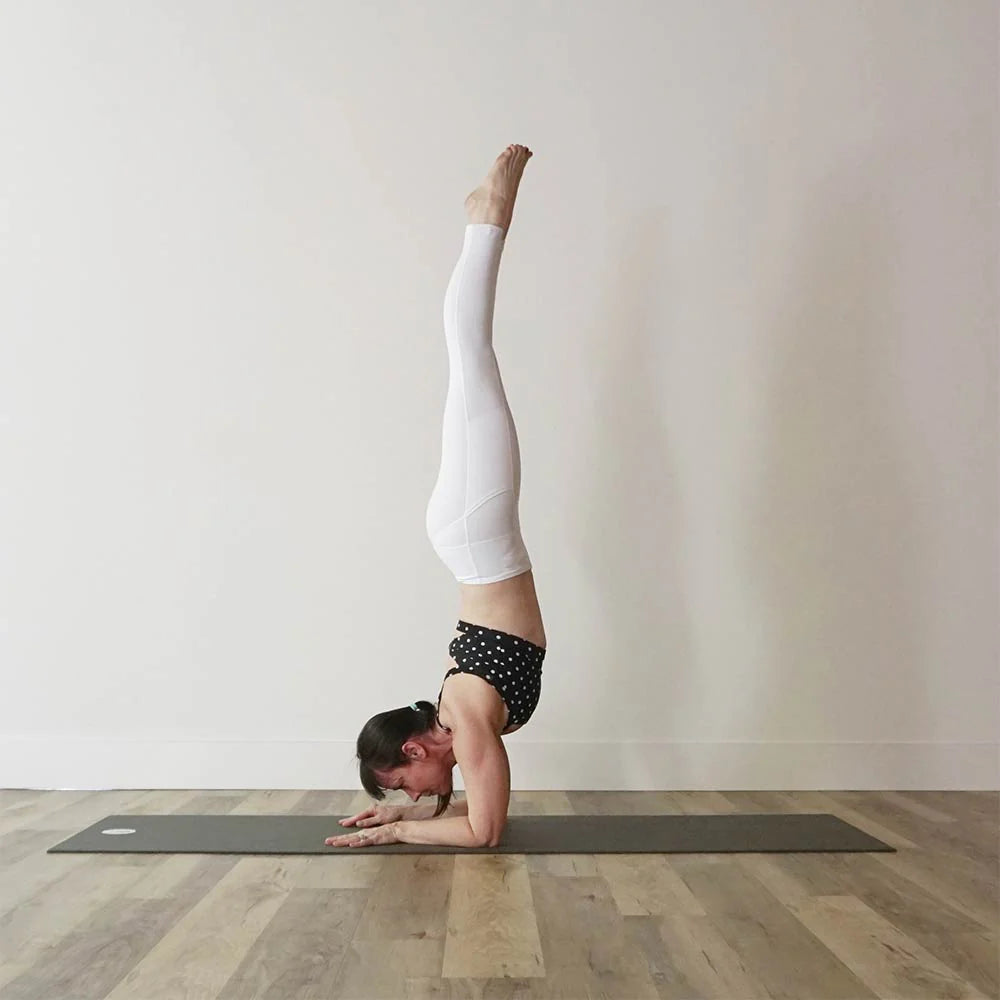 Preparation Poses for Forearm Stand | KIRAGRACE